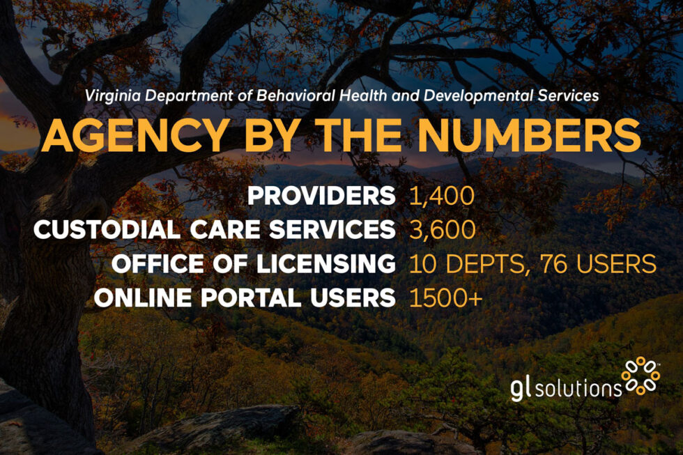 Childcare Licensing Application | Licensing & Permitting Software